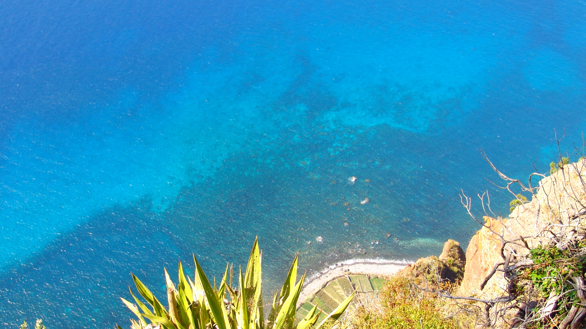 The Island of Eternal Spring Portugal Experience