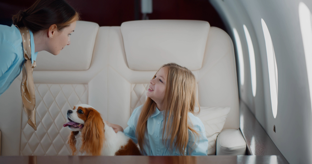 What Does It Cost To Fly Your Pet On A Private Jet | Fast Private Jet